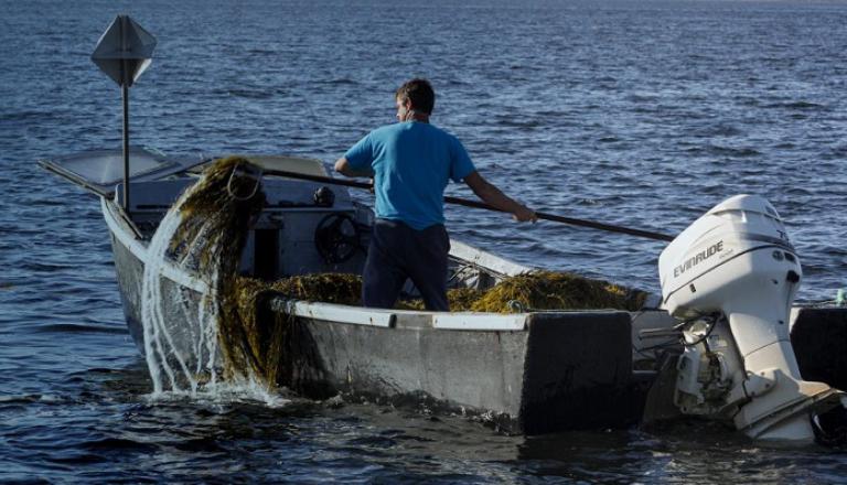 Acadian Seaplants Limited | EDC