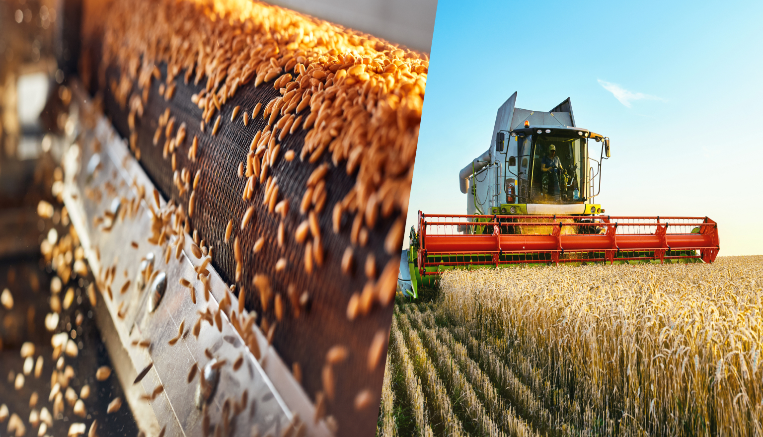 Harvesting success: Navigating Brazil’s agribusiness landscape | EDC