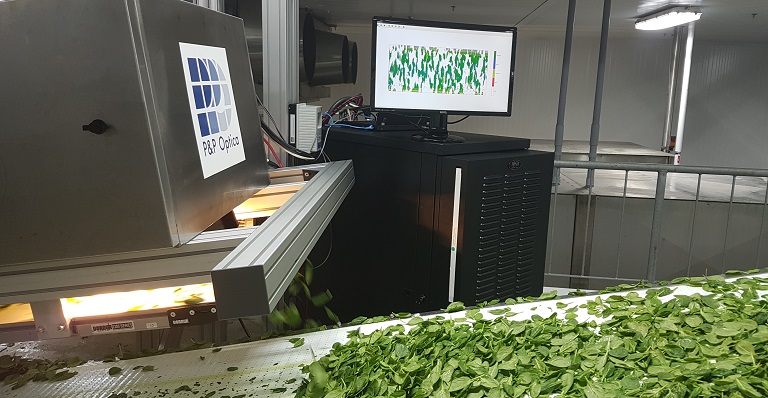 P&P Opitca: 2018 Cleantech “one to watch” | EDC