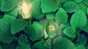 Export support for cleantech companies | EDC