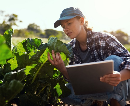 Export support for cleantech companies | EDC