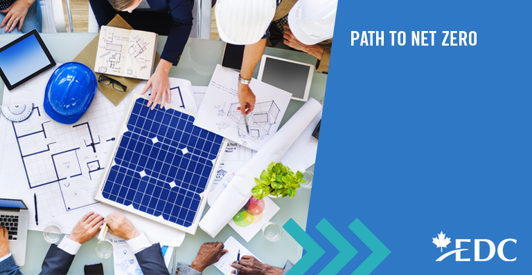 The path to net zero | EDC