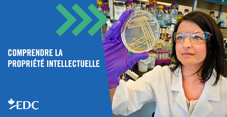 Comprendre la propriété intellectuelle | EDC